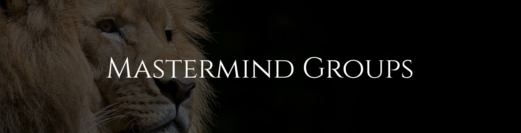 Mastermind Groups – Lion Crest Leadership